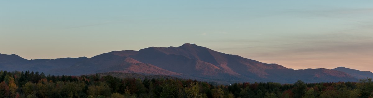 Patient Portal – Mary Stanley MD